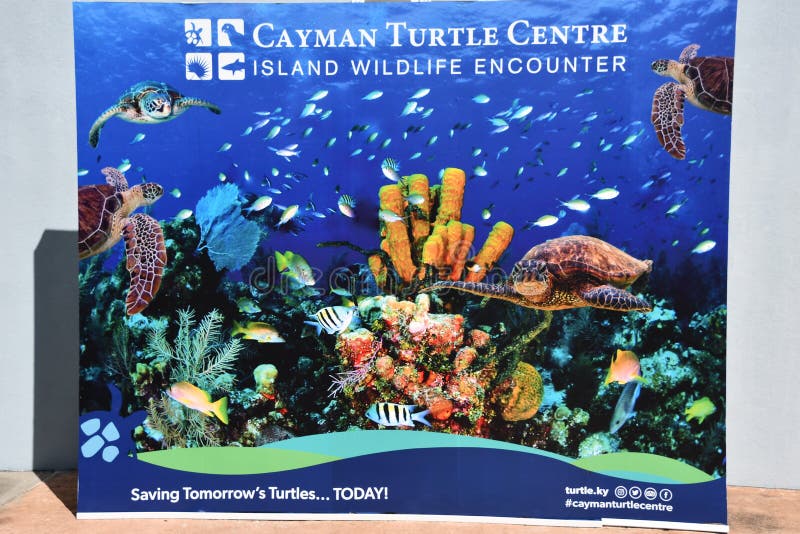 Cayman Turtle Centre in West Bay on the Cayman Islands Editorial Photo ...