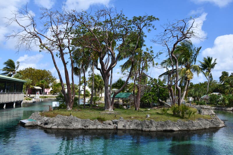 Cayman Turtle Centre in West Bay on the Cayman Islands Editorial ...