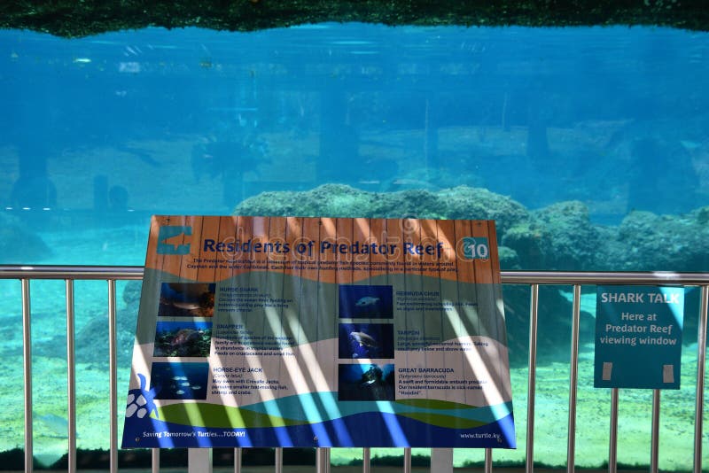 Cayman Turtle Centre in West Bay on the Cayman Islands Editorial Stock ...