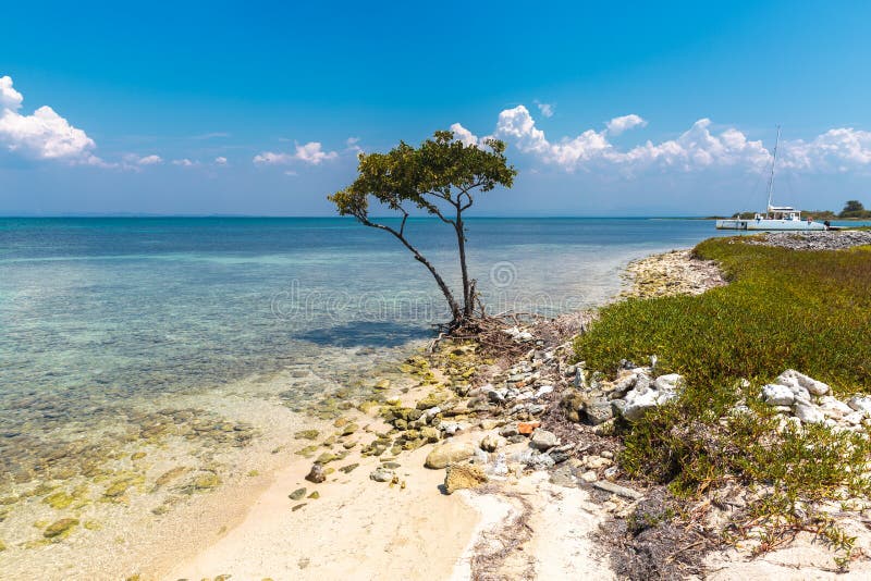 Cayo Blanco, Cuba stock photo. Image of relax, water - 60209070
