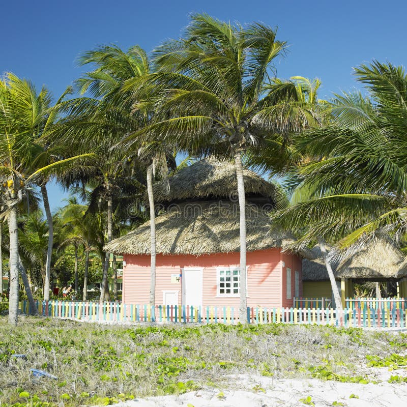 Cayo Coco, Cuba stock image. Image of coco, vegetation - 238102779