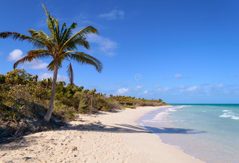 Cayo Coco, Cuba, beach stock image. Image of ocean, republic - 263657477