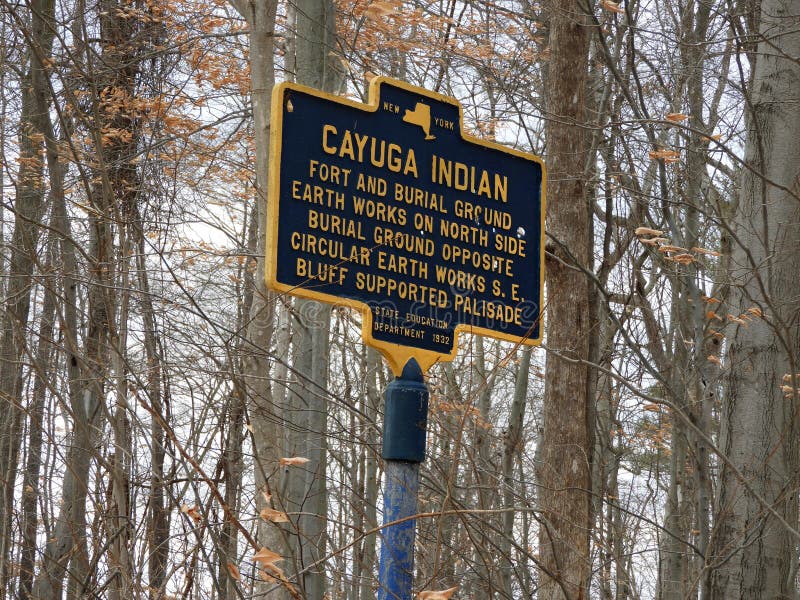 Native American Totem Pole at NYS Zoo Stock Image - Image of indigenous ...