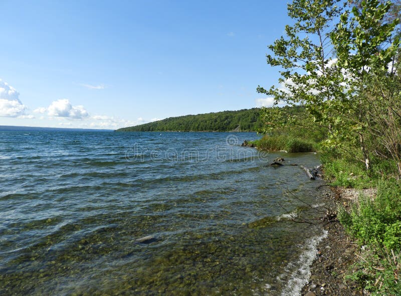 Cayuga Lake Shore in the Fingerlakes during Late Summer Stock Image ...