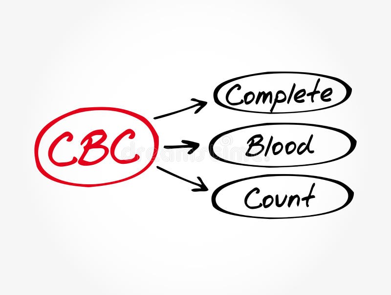 CBC - Complete Blood Count. Health Care. Blood Test. Vector Stock ...