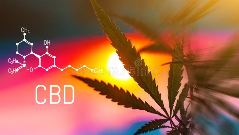 CBD Chemical Formula. Structural Model of Cannabidiol Molecule Stock ...