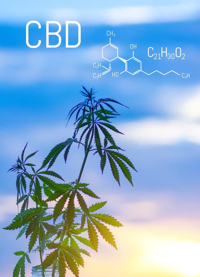 CBD Medical Marijuana Element. Molecular Structures, Chemical Formula ...