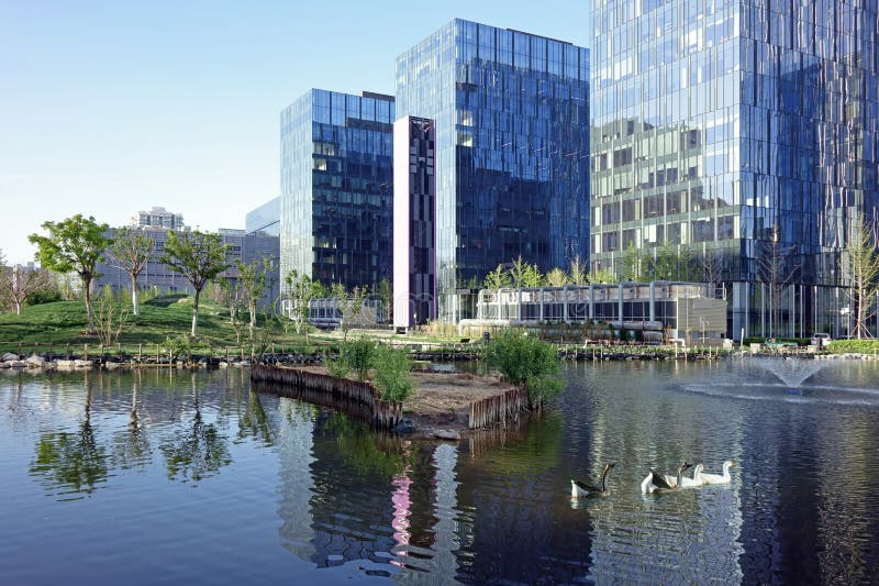 CBD Spring Scenery in April. Stock Photo - Image of goose, estate ...