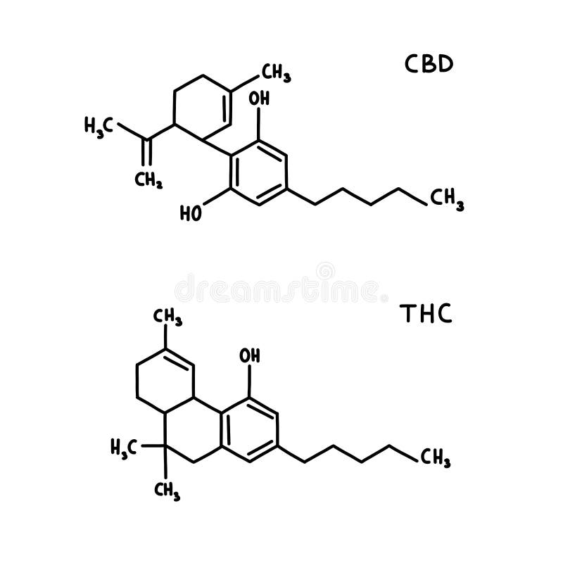 Cbd and Thc Chemical Formula Doodle Icon, Vector Color Illustration ...