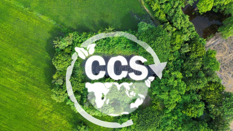 CCS,Carbon Capture Storage with Forest Background Net Zero Operations ...