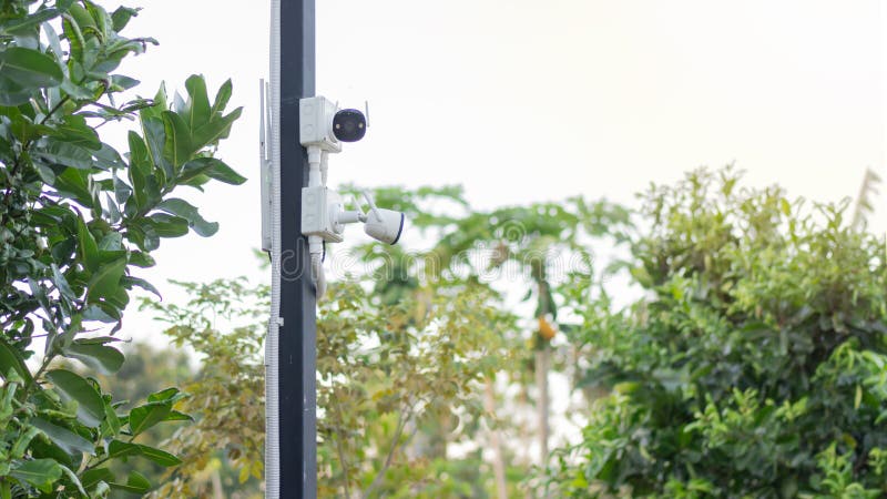 A CCTV Camera Setting on a Outdoor Pol and Recording. Digital ...