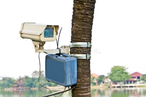 Cctv camera on tree stock image. Image of roof, protection - 19027539