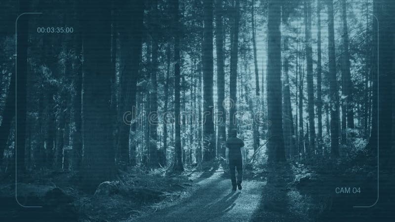 CCTV Man Walks through Forest at Sunset Stock Video - Video of woods ...