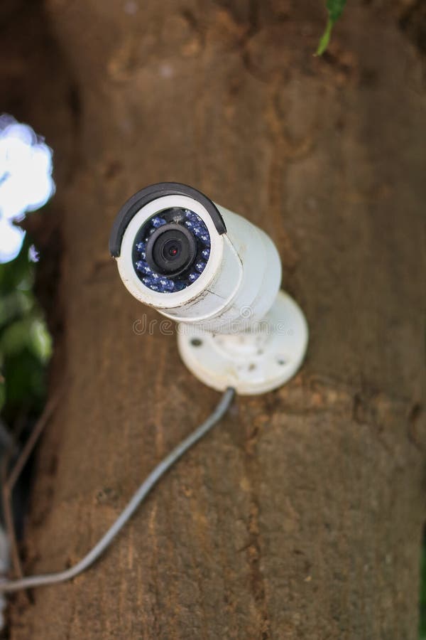 CCTV, Mounted on a Tree, Long Time Use Stock Photo - Image of cctv ...