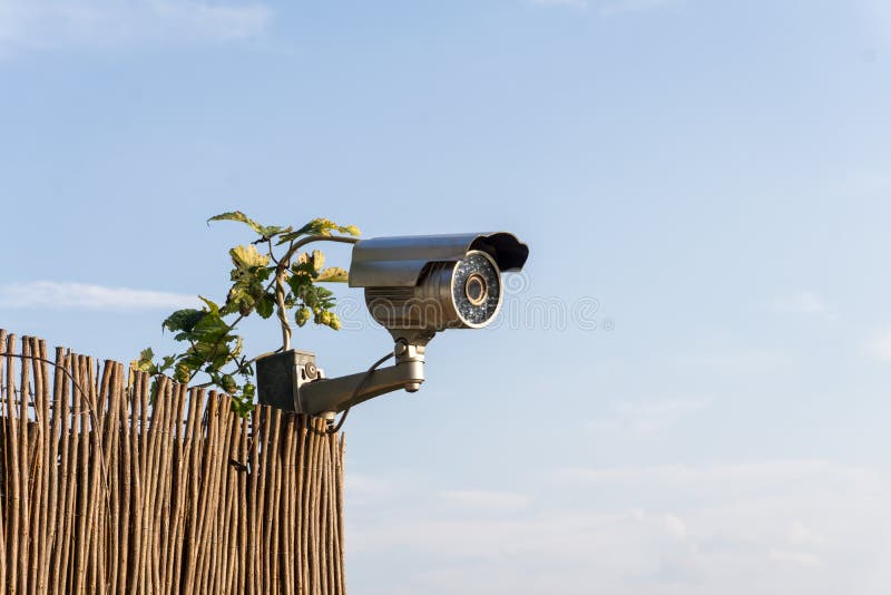 CCTV Security Camera on Garden Fence Stock Image - Image of fence ...