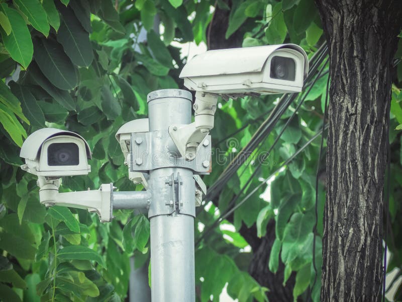 CCTV Security Camera in the Park Stock Photo - Image of equipment ...