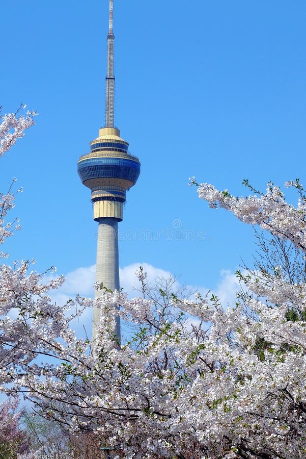 Kuwait tower stock photo. Image of arab, tower, east, towers - 7794576