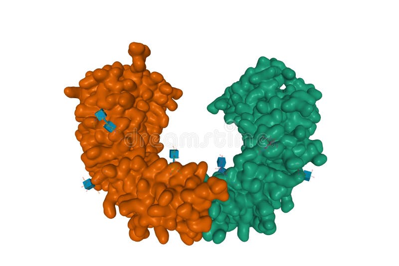 Cd14 Cluster Stock Illustrations – 2 Cd14 Cluster Stock Illustrations ...