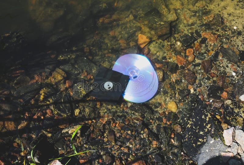 CD Disk and Floppy Diskette are Lying in the Lake Outdoors. Forgotten ...