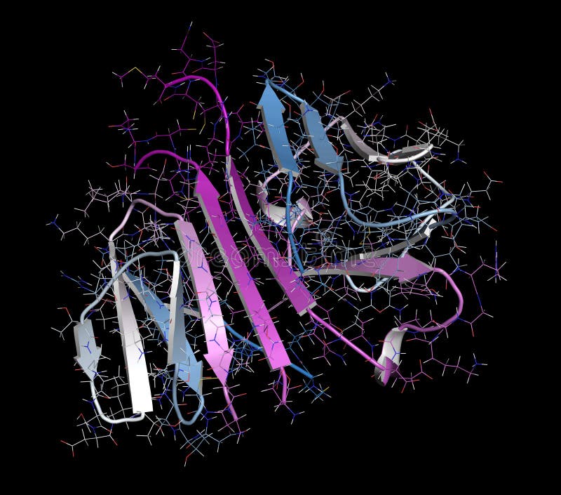 CD3 Protein (epsilon/delta Ectodomain Dimer). CD3 is Present on the ...