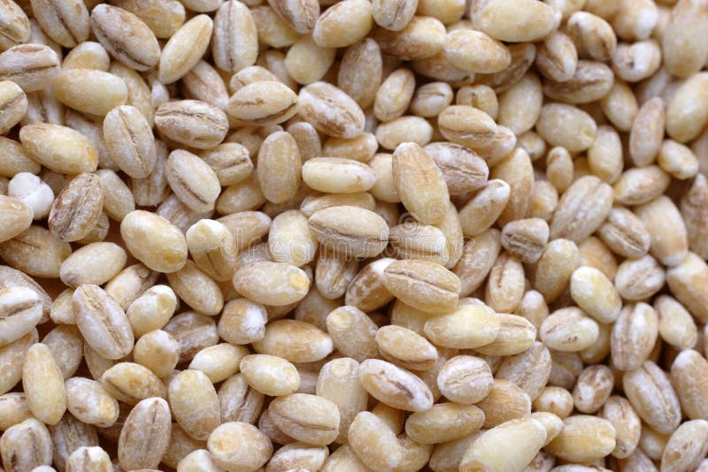 Cebada de perla foto de archivo. Imagen de macro, texturizado - 11539784