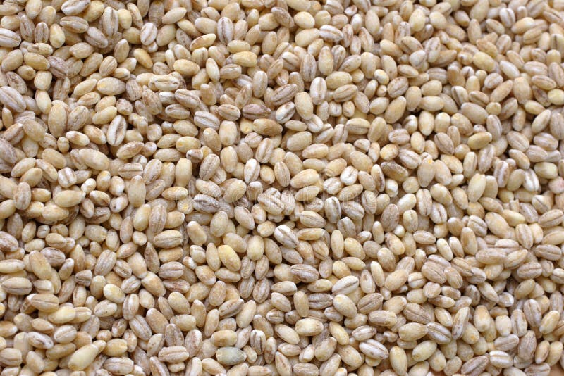 Cebada perlada foto de archivo. Imagen de comer, perla - 579224