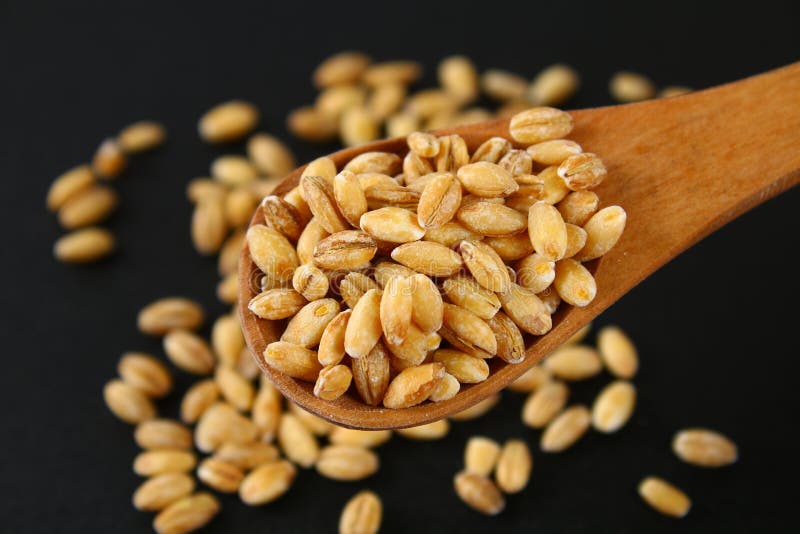 Cebada De Perla Seca En Una Cucharada De Madera En Una Pizarra Negra ...