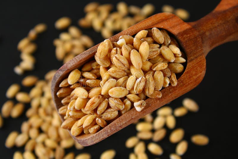 Cebada De Perla Seca En Una Cucharada De Madera En Una Pizarra Negra ...