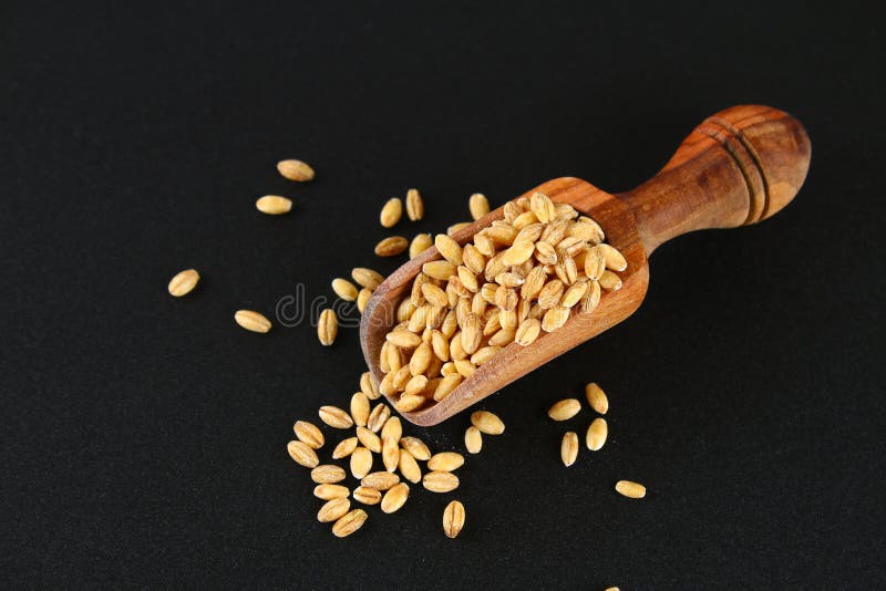 Cebada De Perla Seca En Una Cucharada De Madera En Una Pizarra Negra ...