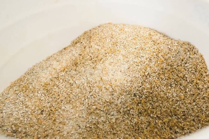 Cebada De Tierra En El Recipiente, Cebada Molida Foto de archivo ...