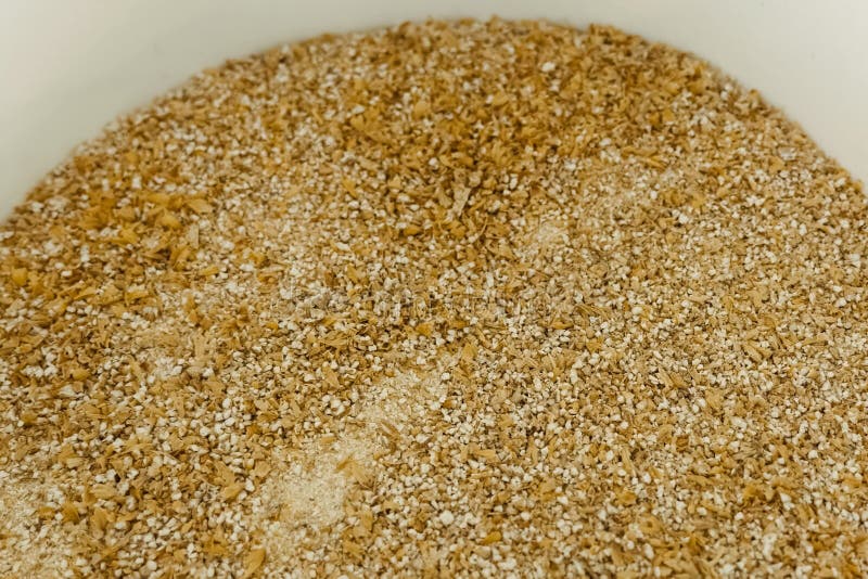 Cebada De Tierra En El Recipiente, Cebada Molida Foto de archivo ...