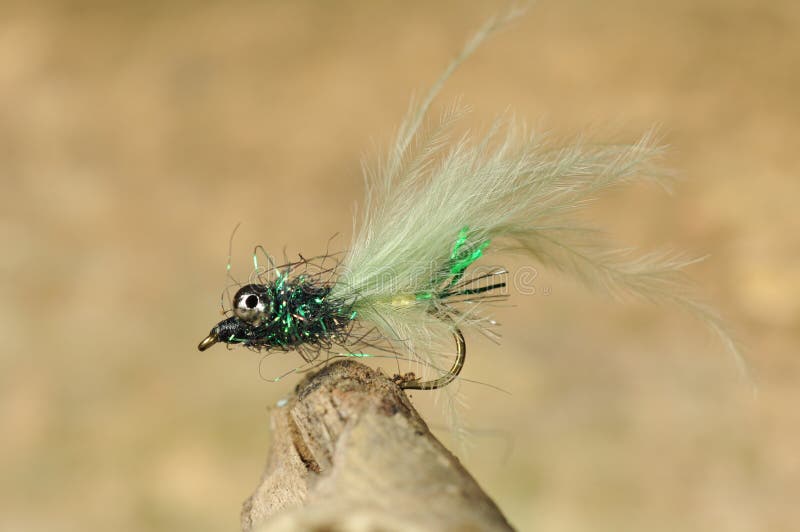Cebo de pesca del insecto foto de archivo. Imagen de pelo - 62953674
