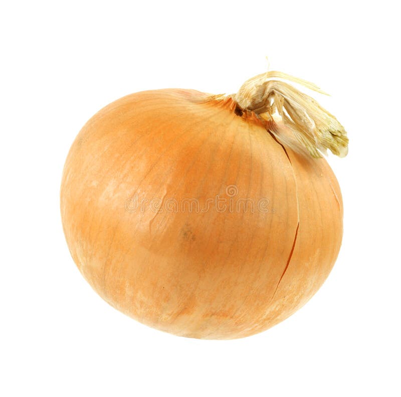 Cebola inclinada foto de stock. Imagem de gosto, fundo - 11362306