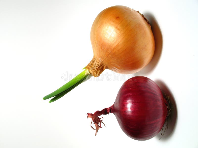 Cebola roxa e amarela foto de stock. Imagem de alimentos - 4235026