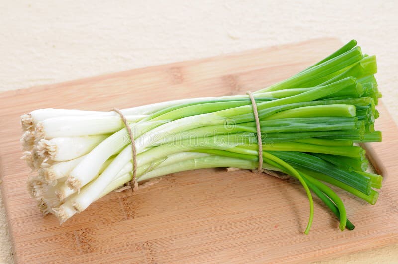 Cebola verde imagem de stock. Imagem de fundo, cabo, folha - 44207547