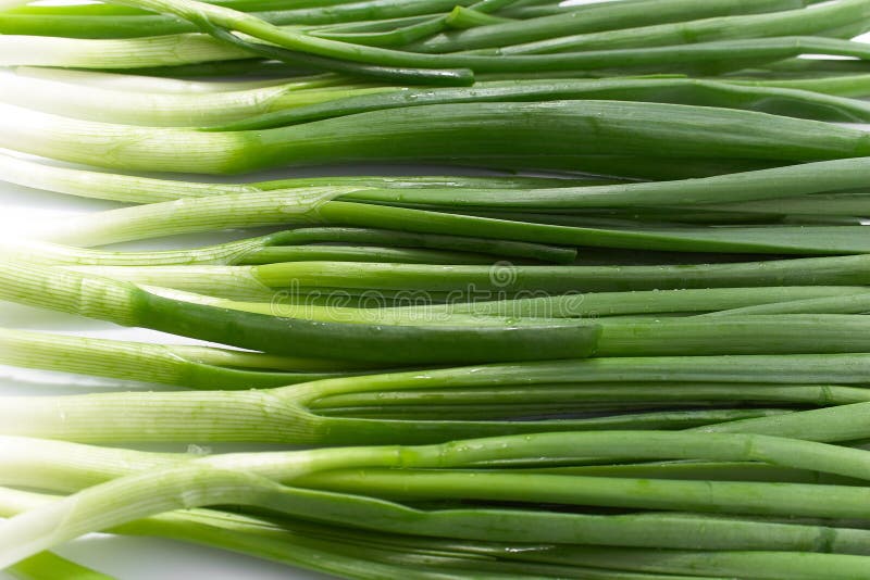 Grupo Da Cebola Verde Fresca No Fundo Branco Foto de Stock - Imagem de ...