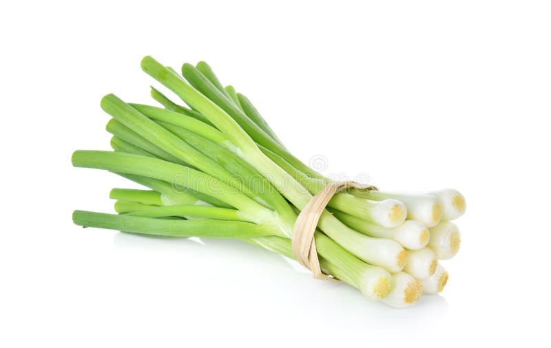 Cebola Verde Isolada No Fundo Branco Foto de Stock - Imagem de planta ...