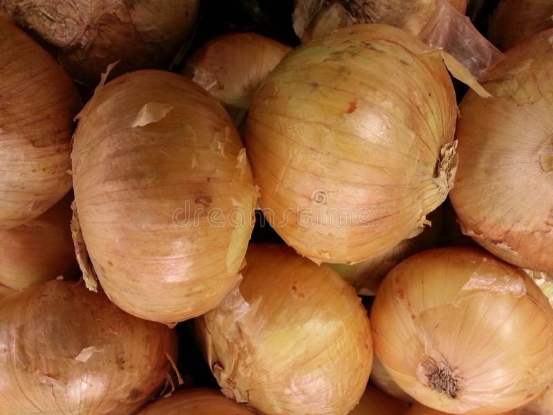 Cebola Doce De Vidalia Isolada Foto de Stock - Imagem de orgânico ...