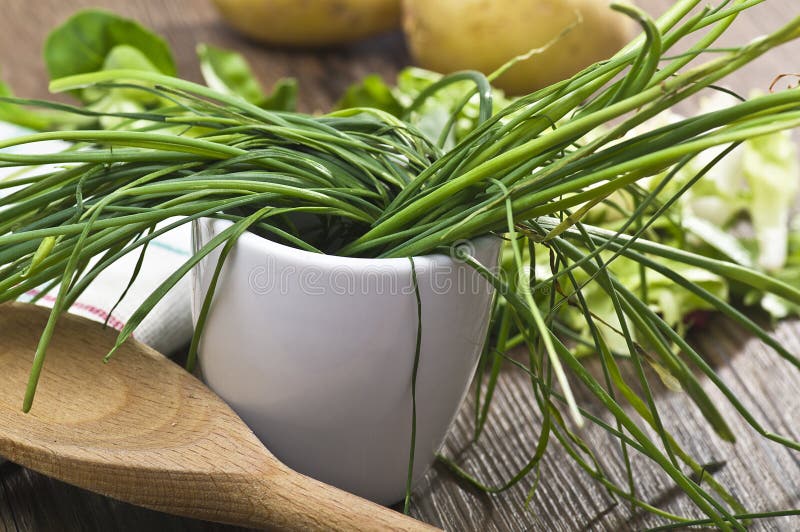 Cebolinho imagem de stock. Imagem de cebolas, erva, alimento - 22087179