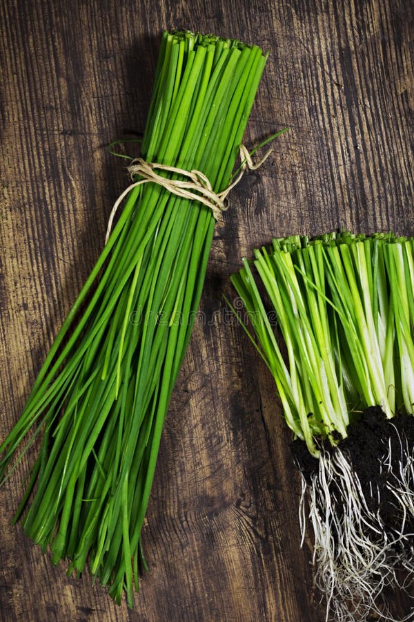 Cebolinho imagem de stock. Imagem de verde, madeira, orgânico - 24367639