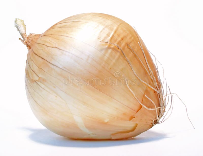 11,186 Cabeza De La Cebolla Fotos de stock - Fotos libres de regalías ...