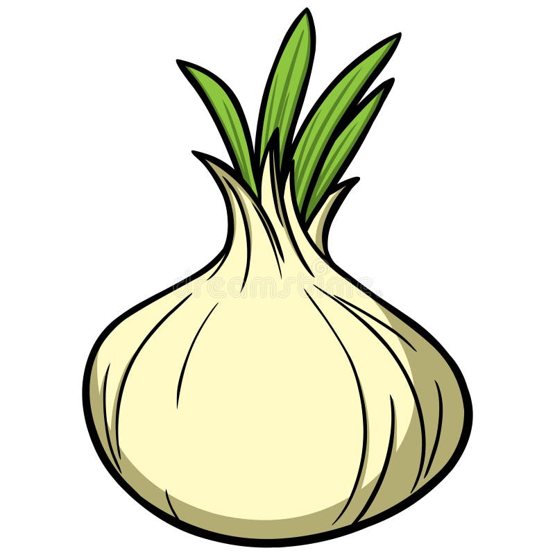 Cebolla ilustración del vector. Ilustración de cebolla - 72946706