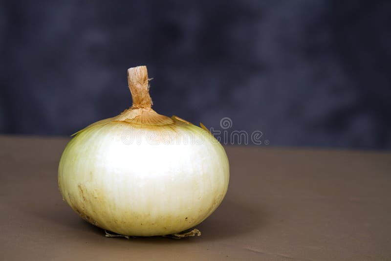 1,262 Cebolla Blanca Grande Fotos de stock - Fotos libres de regalías ...