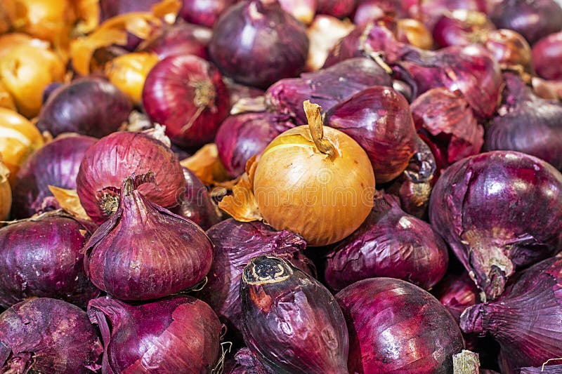 Cebolla De Granja Morada Con Cebolla Amarilla En El Mostrador Imagen de ...