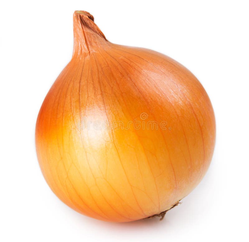 Cebolla Fresca En El Fondo Blanco Foto de archivo - Imagen de ...