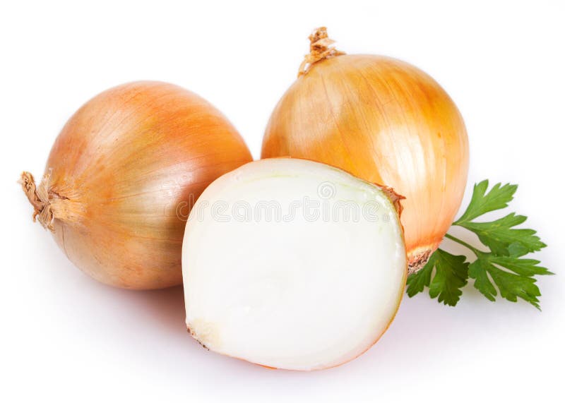 Cebolla Fresca En El Fondo Blanco Imagen de archivo - Imagen de nadie ...