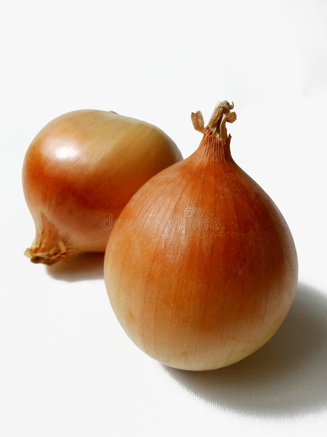 Cebolla Fresca Sobre Fondo Blanco Imagen de archivo - Imagen de cebolla ...