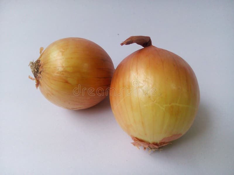 Cebolla grande imagen de archivo. Imagen de salud, hierbas - 44519561