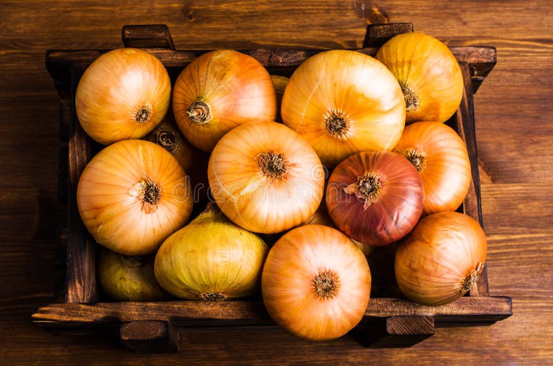 Cebolla grande cruda imagen de archivo. Imagen de cebolla - 103463301