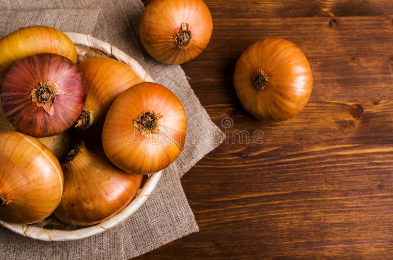 Cebolla grande cruda imagen de archivo. Imagen de cubo - 103470447